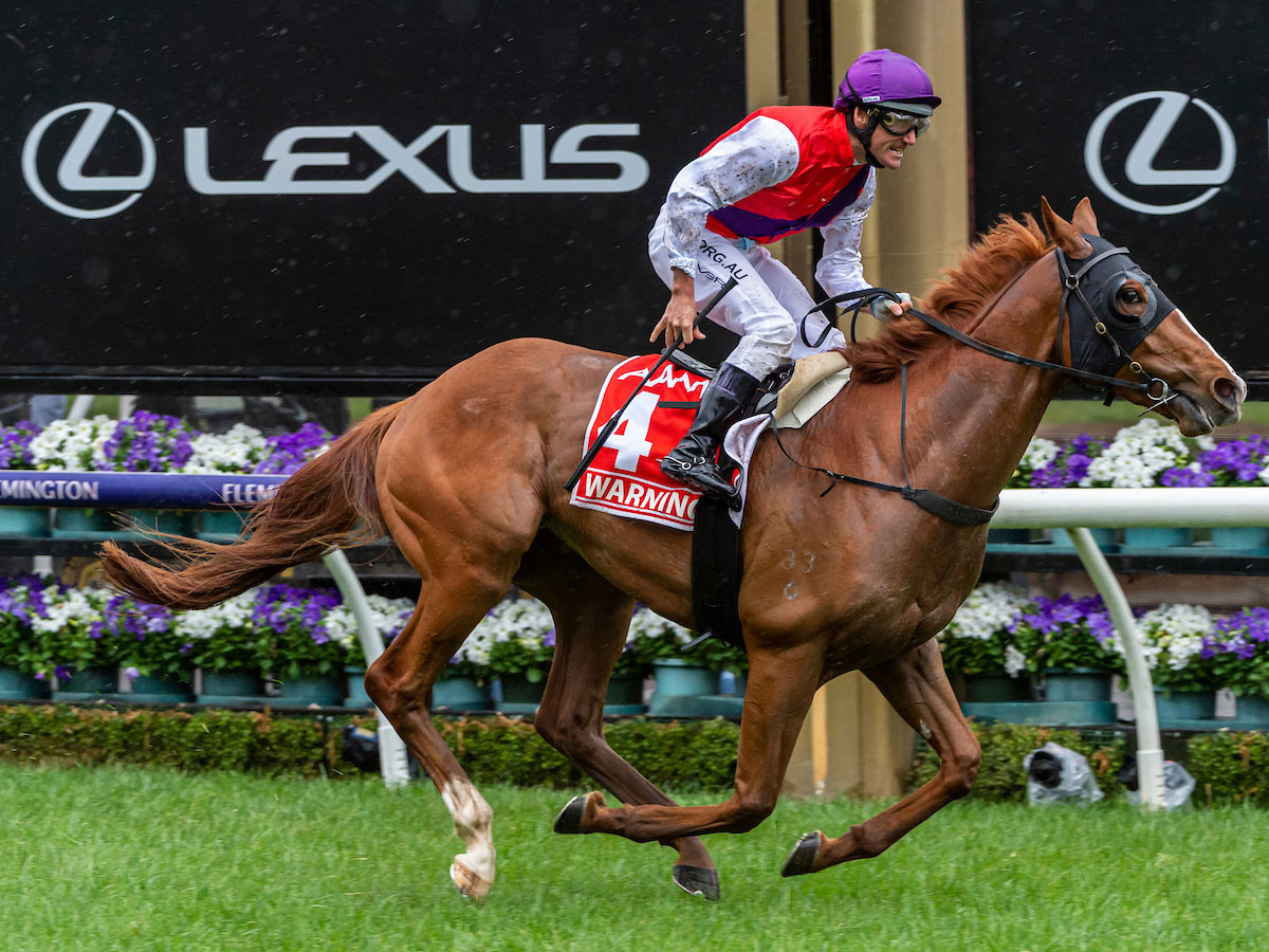 Biography – William Johnson Bloodstock